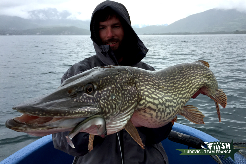 Les Alpins : La récidive ! | Fiiish | Fabricant de leurres innovants ...