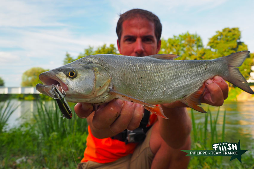 Philippe / Good vibrations ! | Fiiish | Power Tail