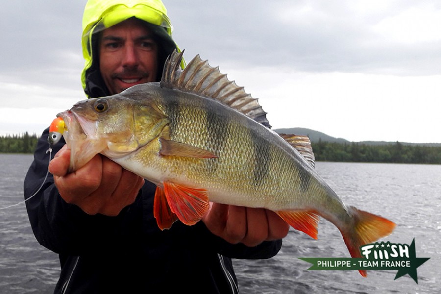 Philippe | Fiiish | Report' | jardin lapon du pêcheur de brochets