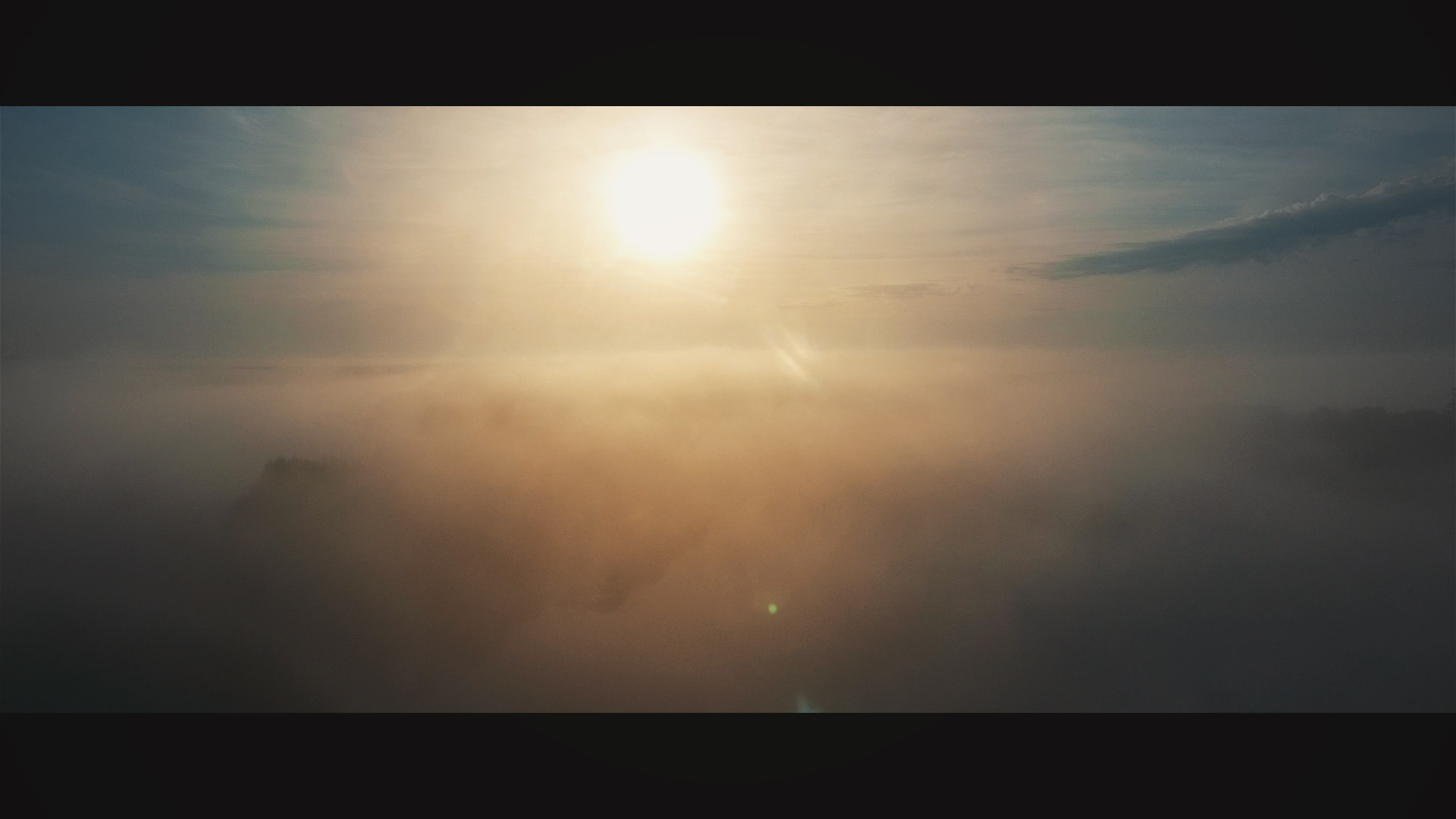 Homepage Fiiish | Fiiish | Fabricant de leurres innovants pour la pêche ...